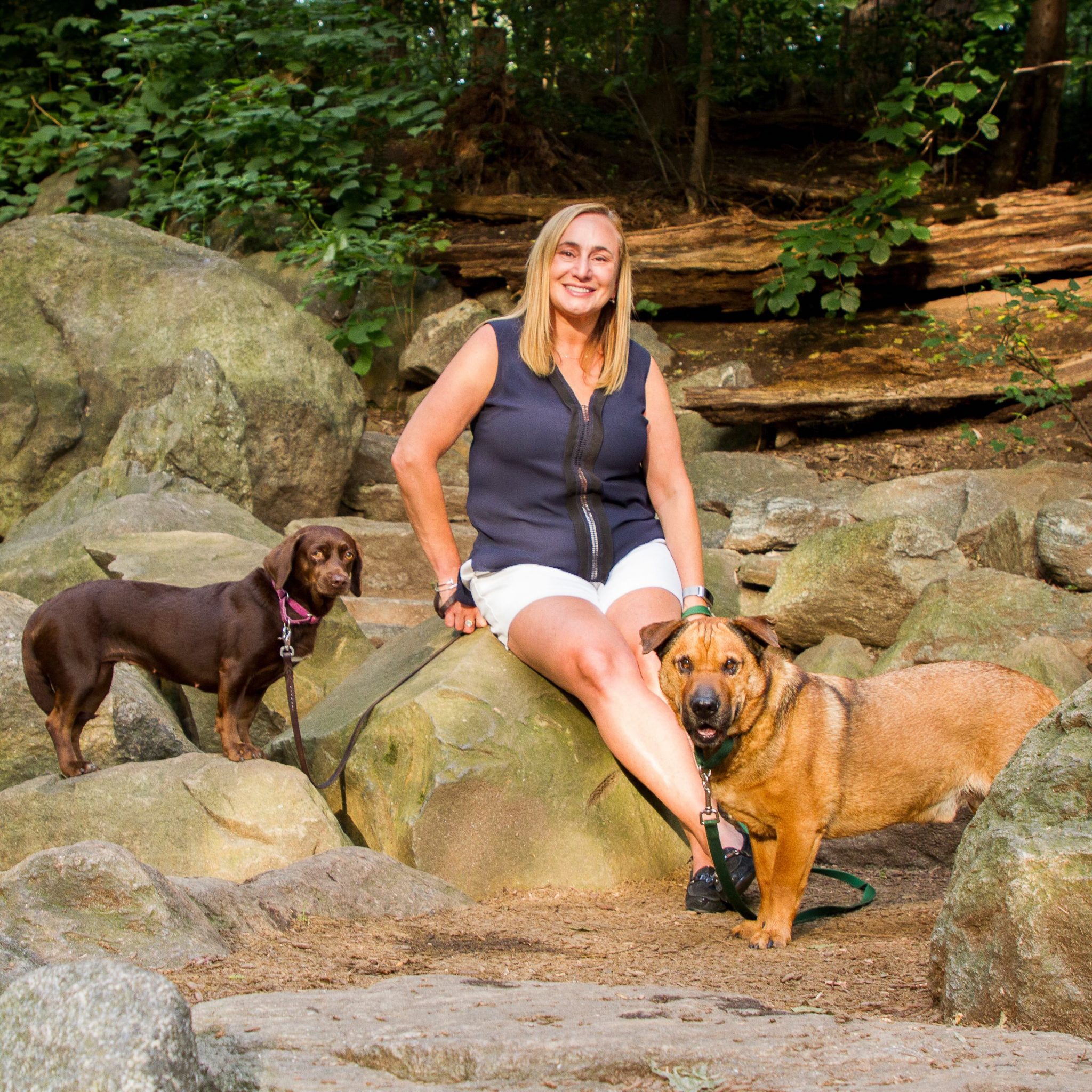 Meet the Staff's Pets - Camp Canine New York