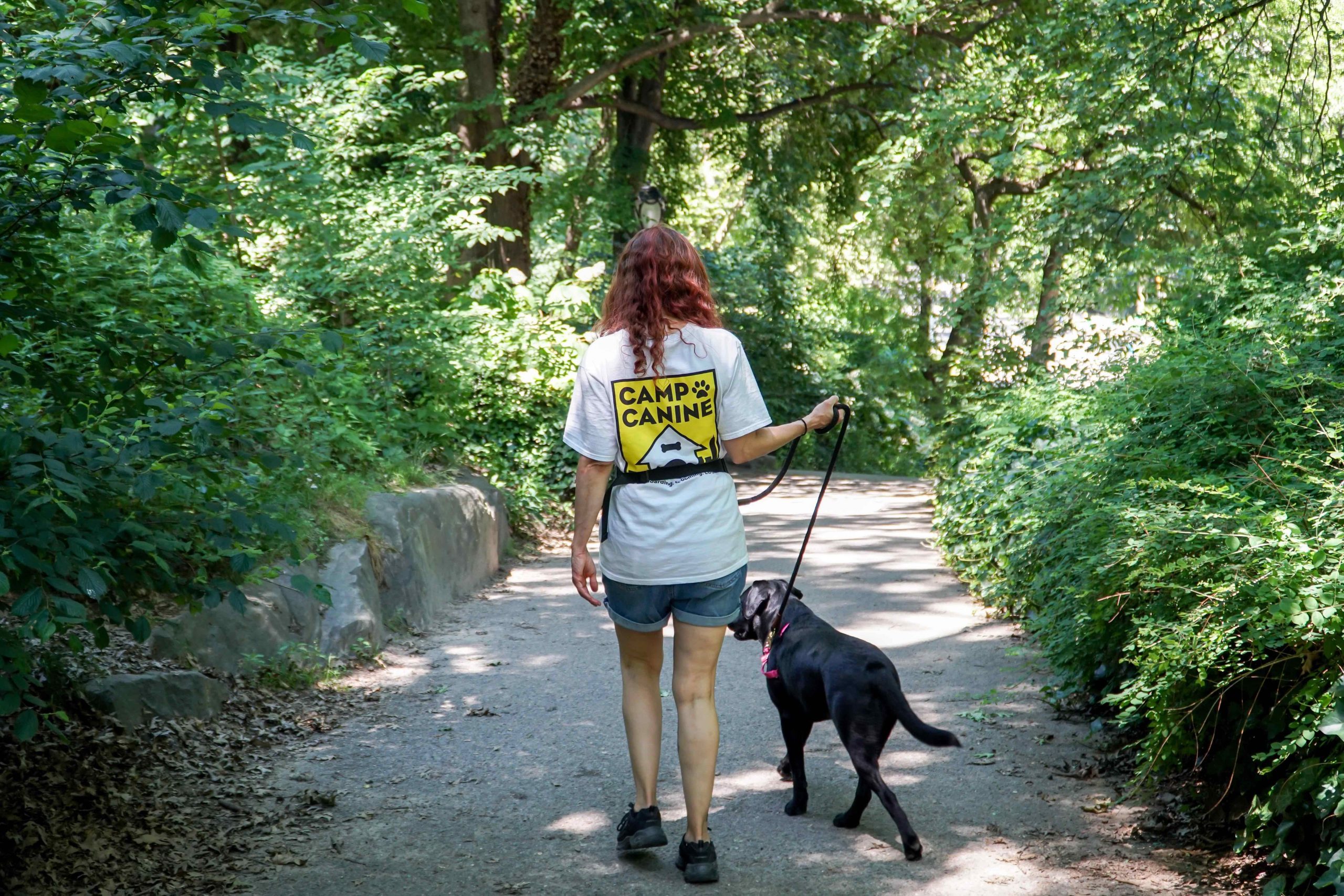 A Day in the Life of a Camp Counselor - Camp Canine New York