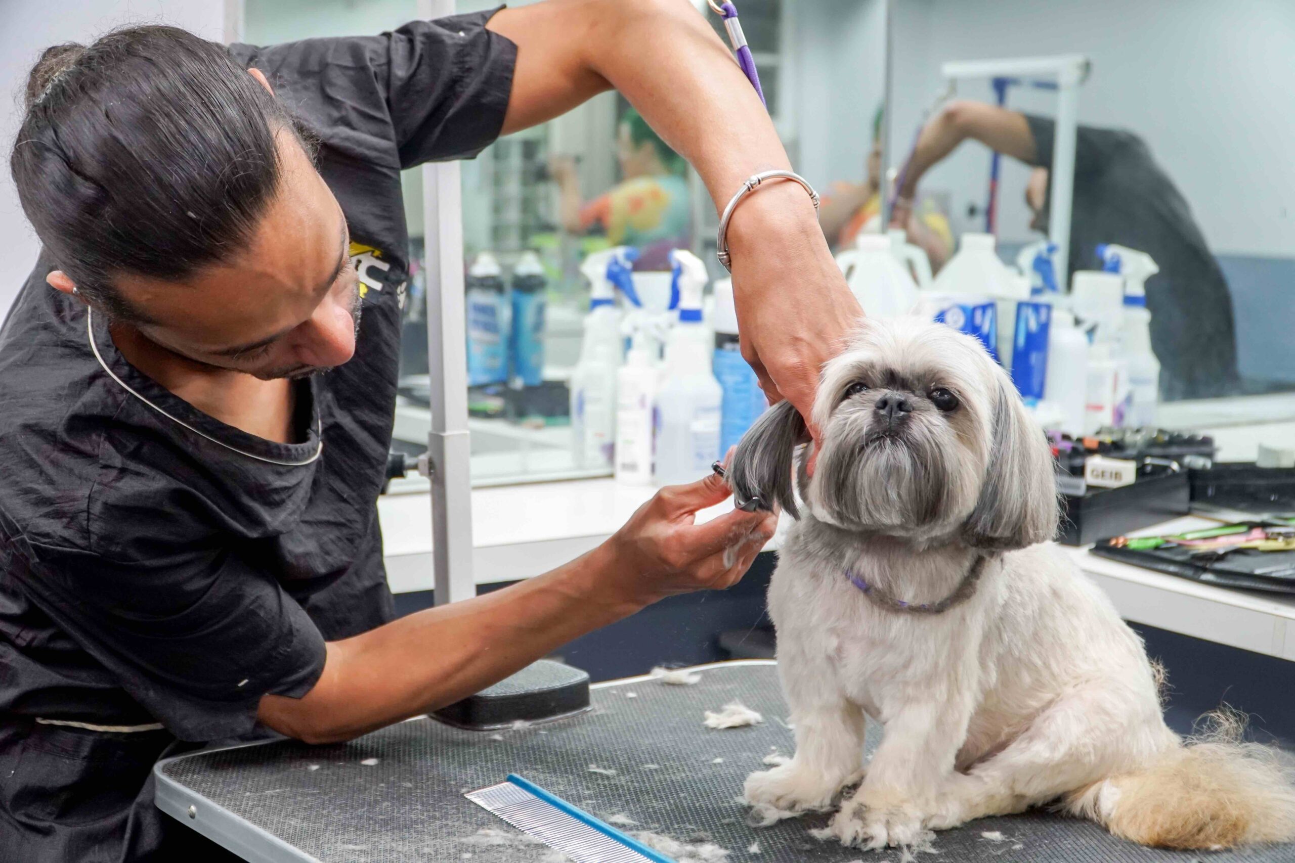 Meet Our Newest Groomer, Anthony! - Camp Canine New York