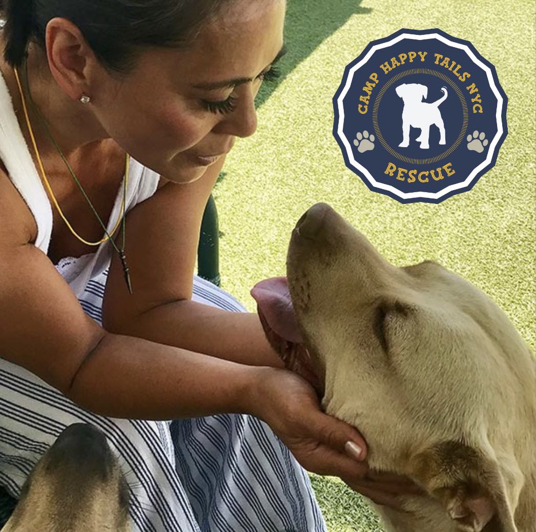 From One Camp to Another: An Interview with Camp Happy Tails Rescue ...