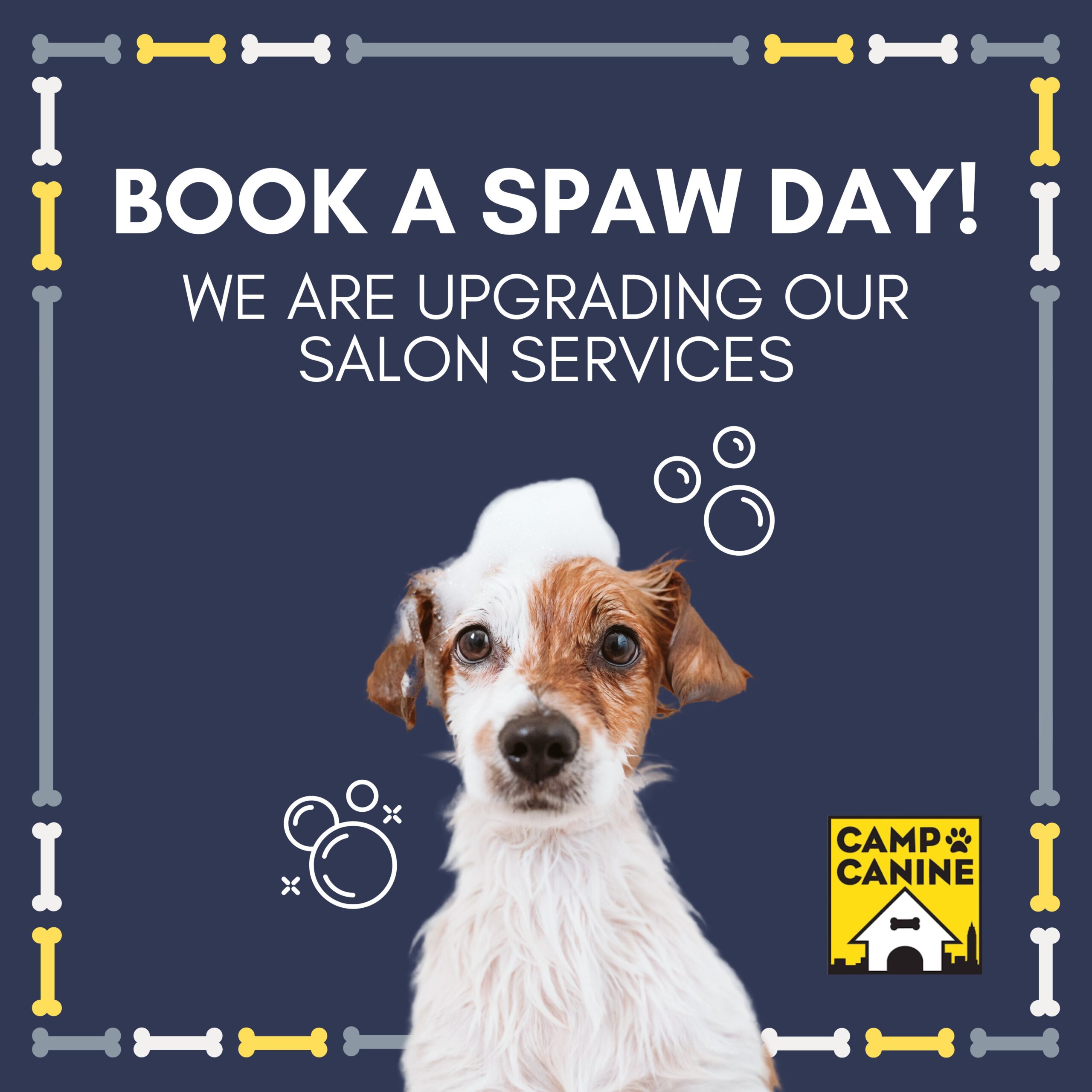 We're Elevating the Camp Canine Spaw! - Camp Canine New York