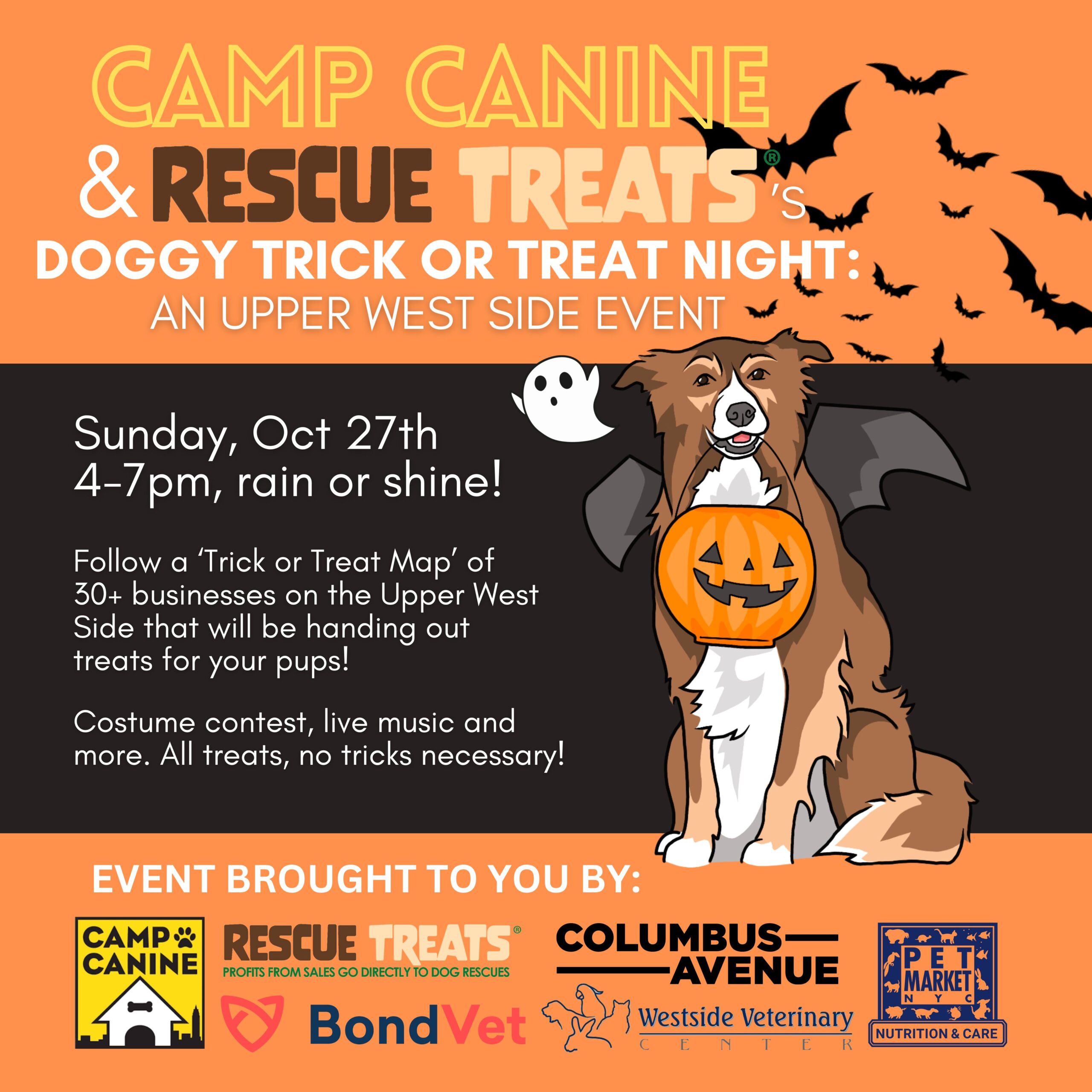 Camp Canine's Third Annual Trick or Treat Night for Dogs: An Upper West ...
